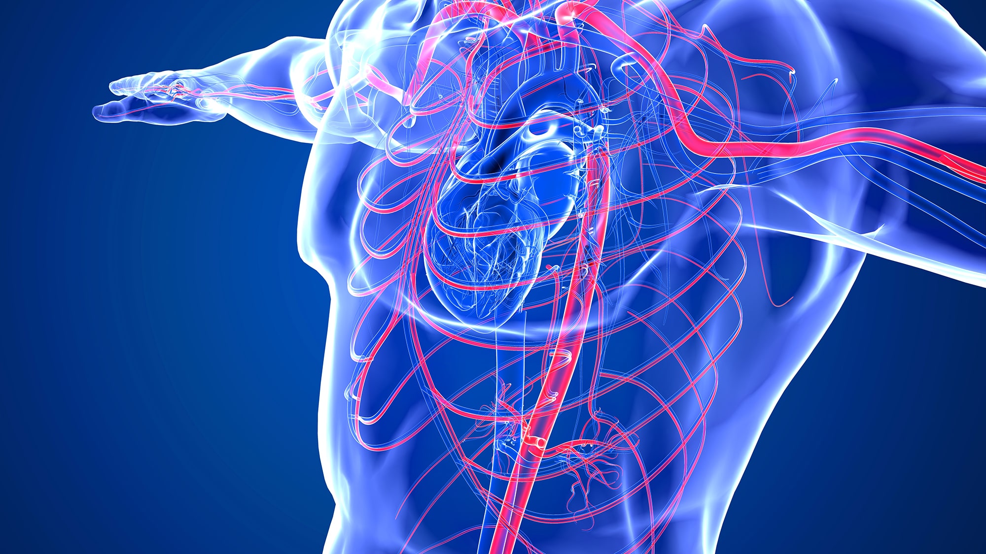 Heart and Vessel: The Pioneering Vascular Medicine & Surgery Procedures ...